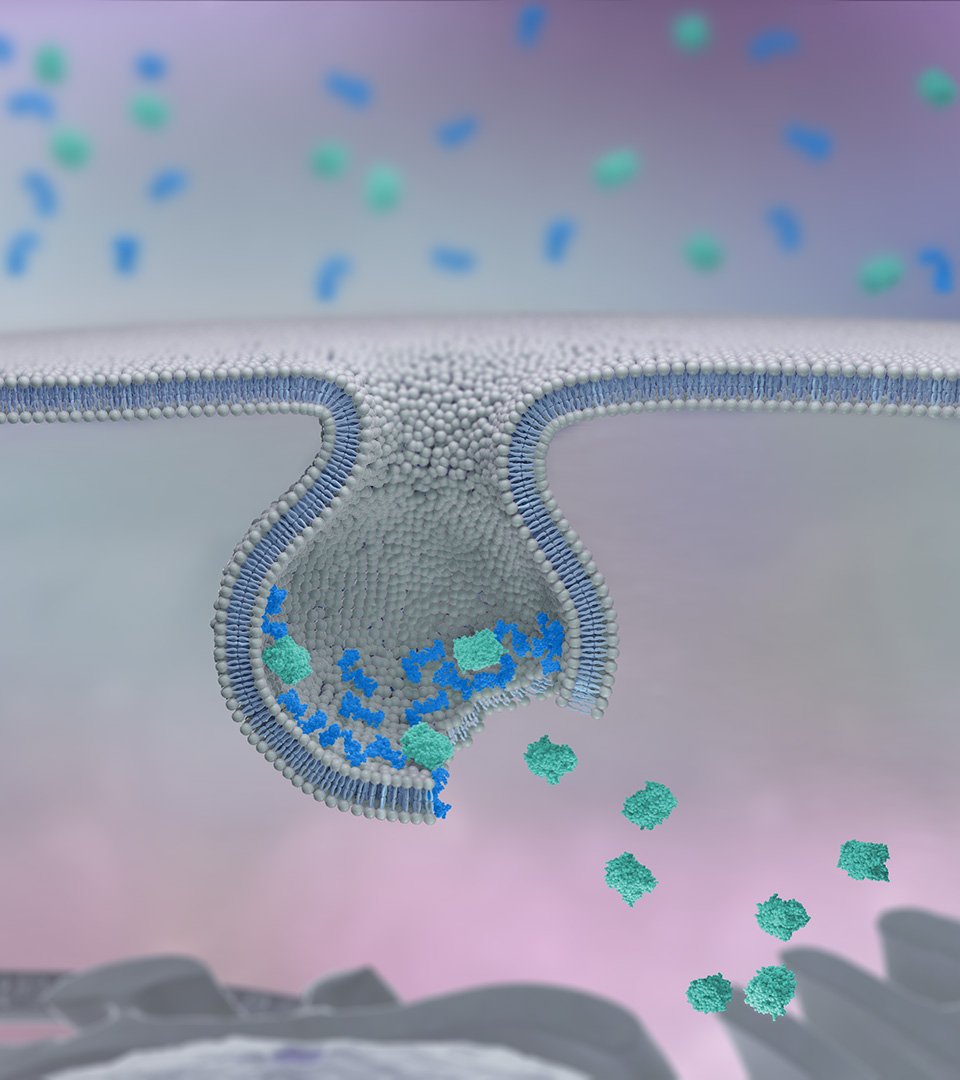 Feldan Therapeutics - Home